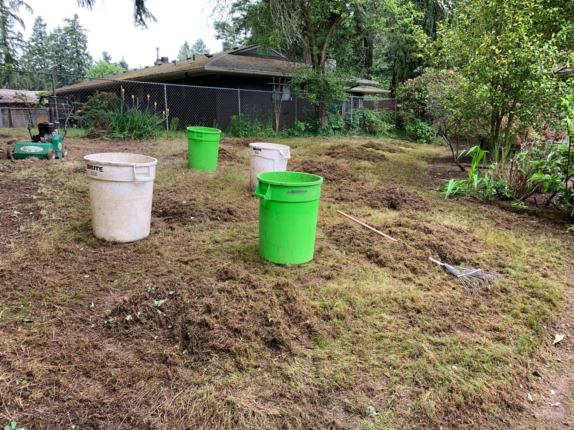 Cheap Dethatching Service Near You Portland, Gresham & Clackamas, OR